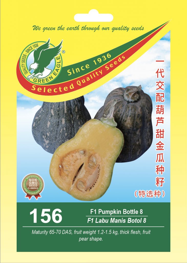 156 F1 Hybrid Butternut Pumpkin - Green Eagle Seeds