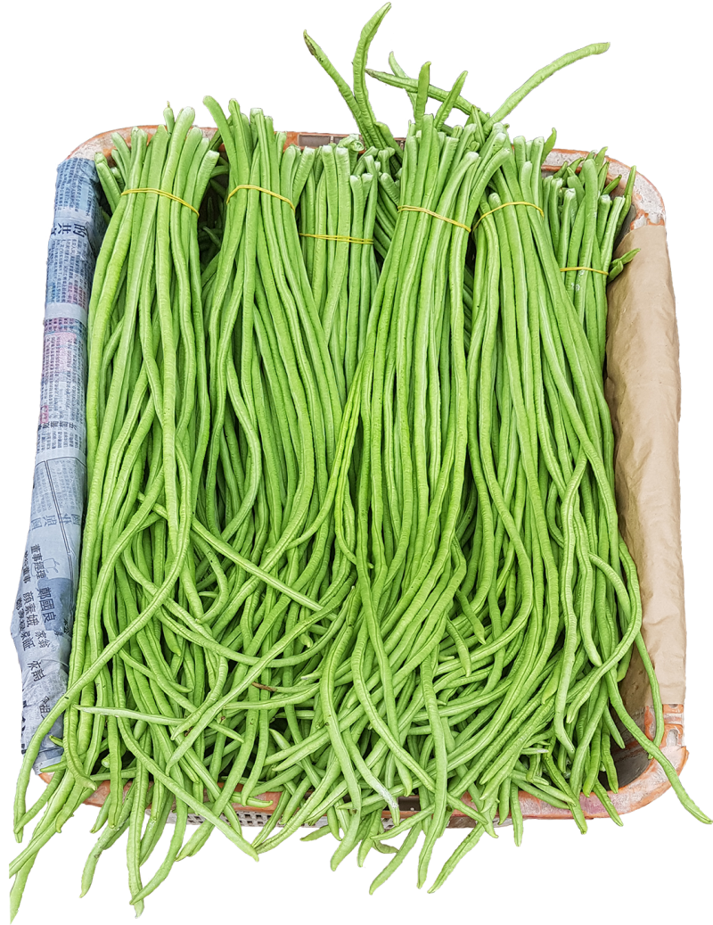 330 Oily Green Long Bean - Green Eagle Seeds