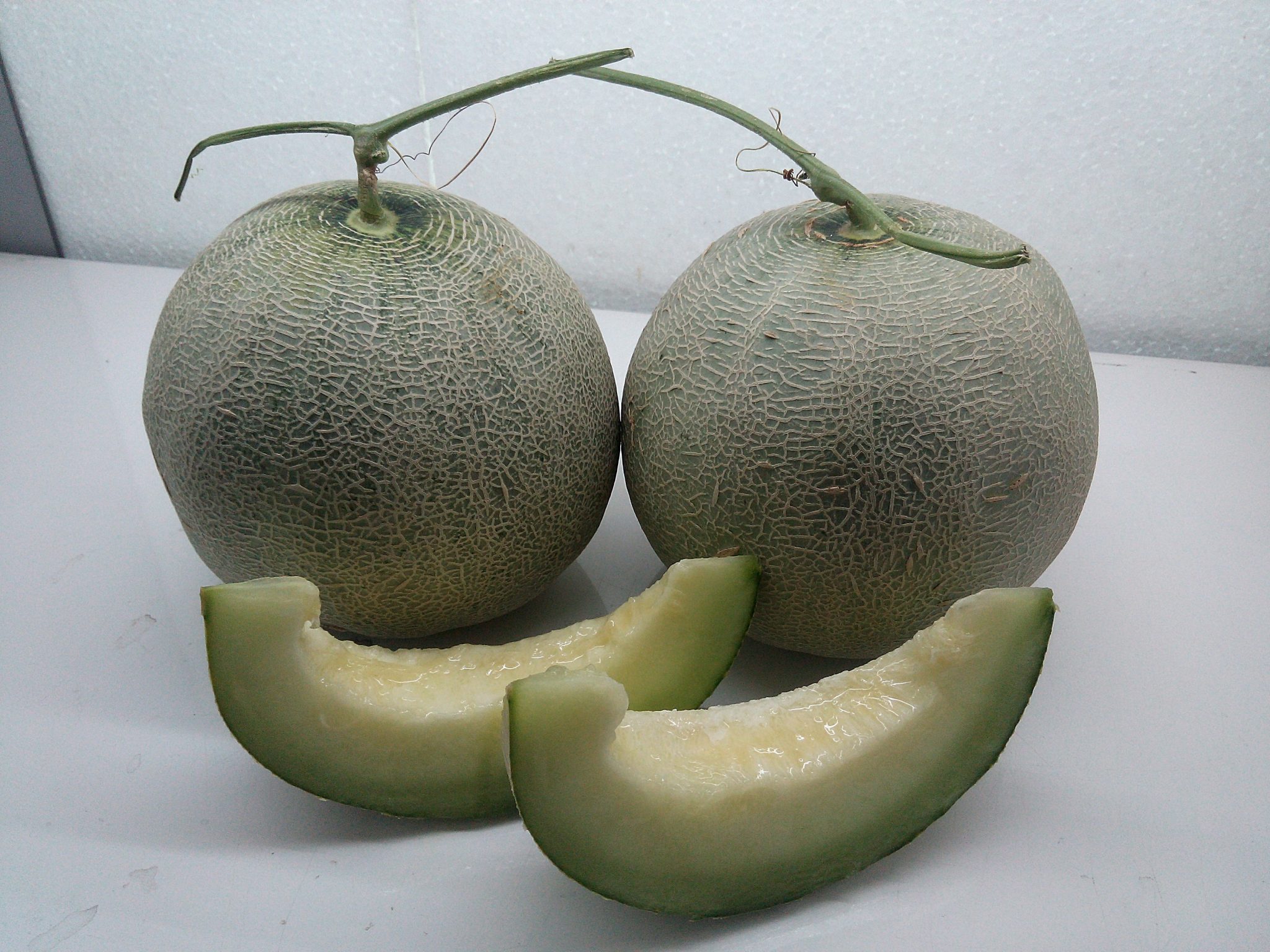 381 F1 Hybrid Mask Melon Honey Moon - Green Eagle Seeds