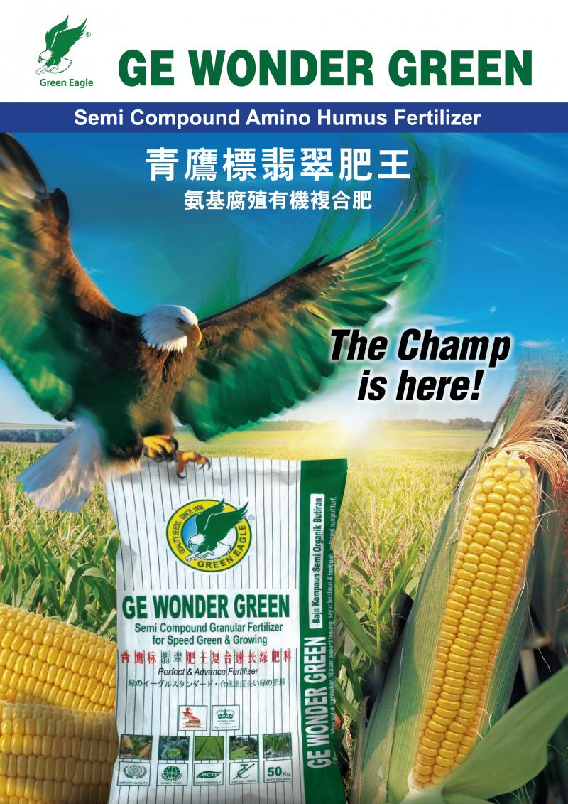 GE Wonder Green - Green Eagle Seeds
