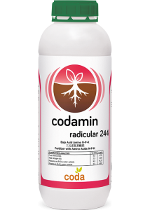 codamin radicular 244 - Green Eagle Seeds
