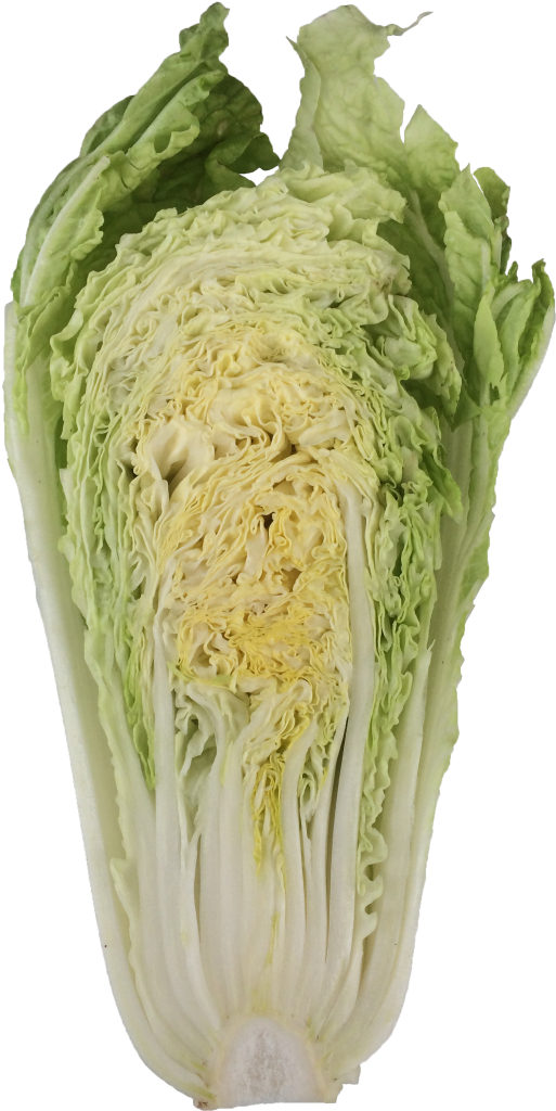206 F1 Chinese Cabbage Super Cross - Green Eagle Seeds
