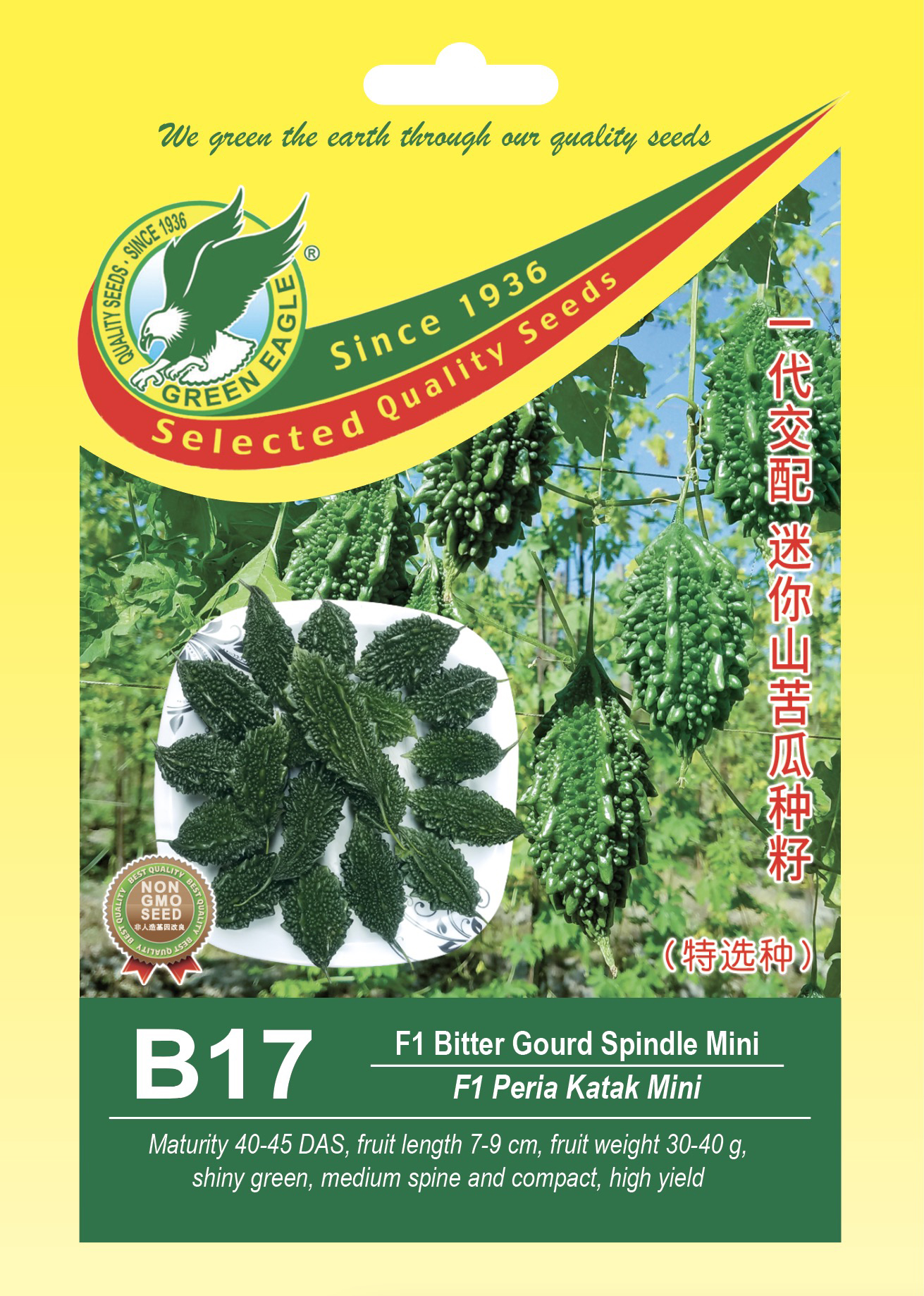 B17 F1 Bitter Gourd Spindle Mini - Green Eagle Seeds