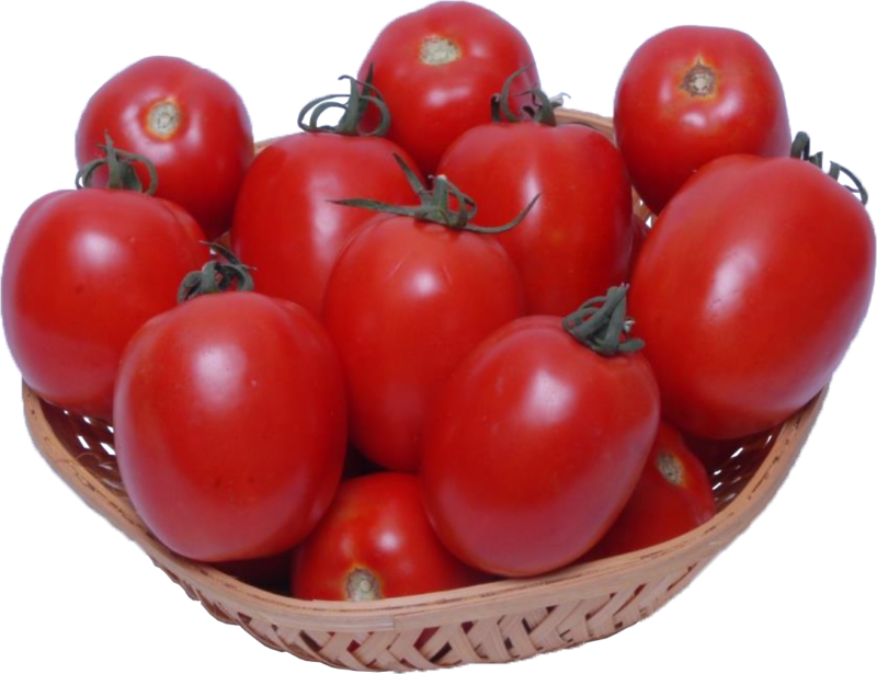 F1 Hybrid Tomato D100G - Green Eagle Seeds