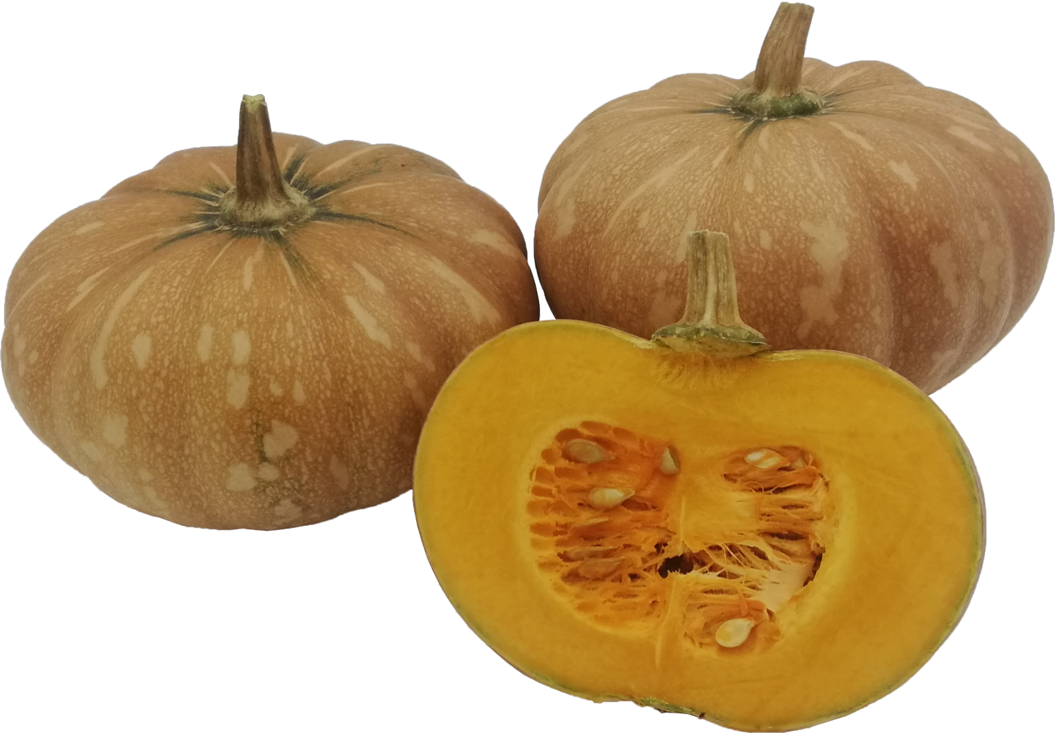 158 F1 Hybrid Pumpkin 2K - Green Eagle Seeds