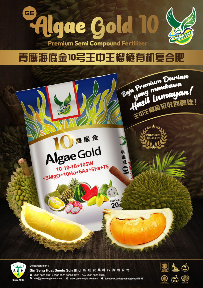 GE Algae Gold 10 - Green Eagle Seeds