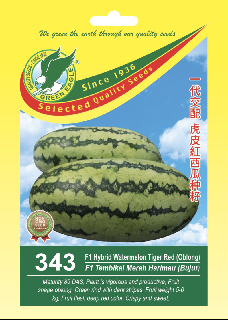 343 F1 Hybrid Watermelon Tiger Red (Oblong) - Green Eagle Seeds