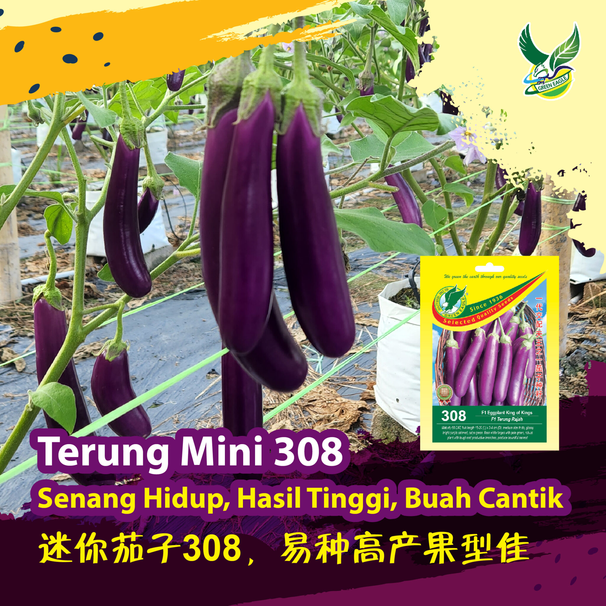 Resources - Green Eagle Seeds