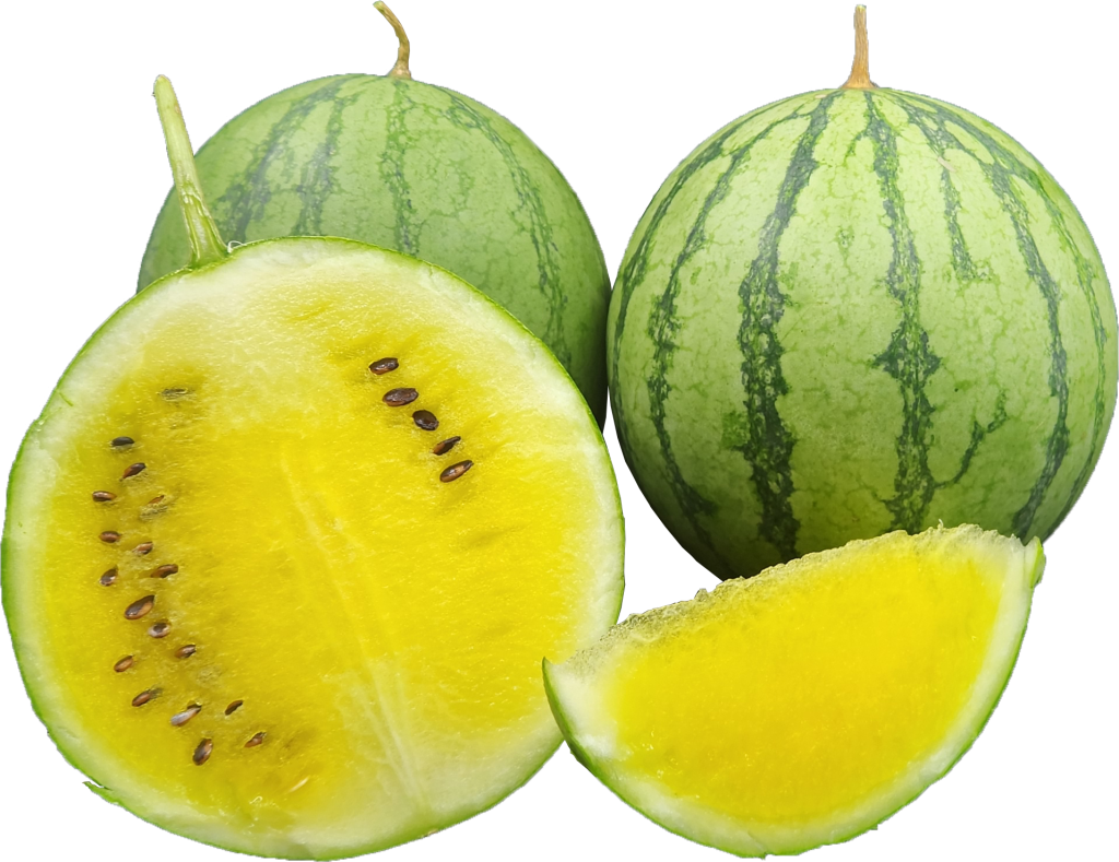 347 F1 Hybrid Watermelon Yellow Round Small 2kg - Green Eagle Seeds