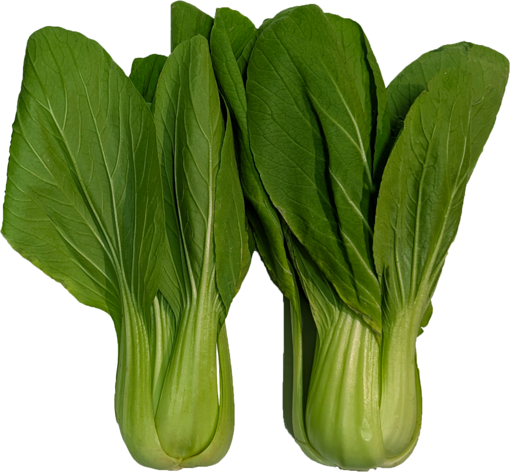 281 F1 Hybrid Pretty Shiny Dwarf Pak Choy - Green Eagle Seeds