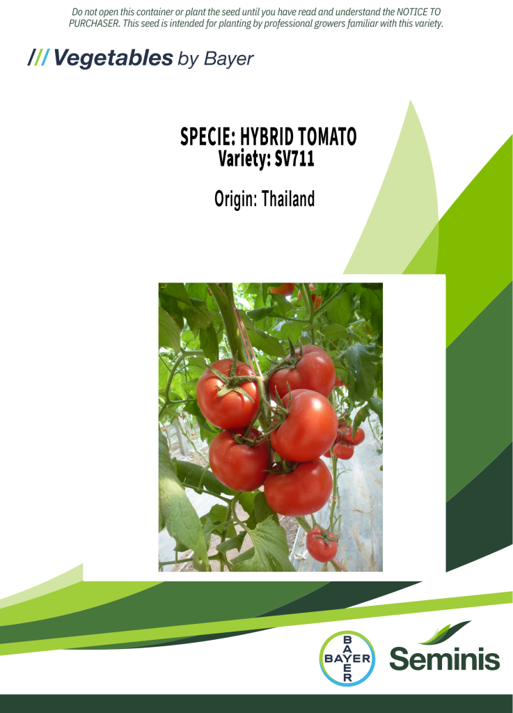 Bayer Seminis Hybrid Tomato SV711 - Green Eagle Seeds