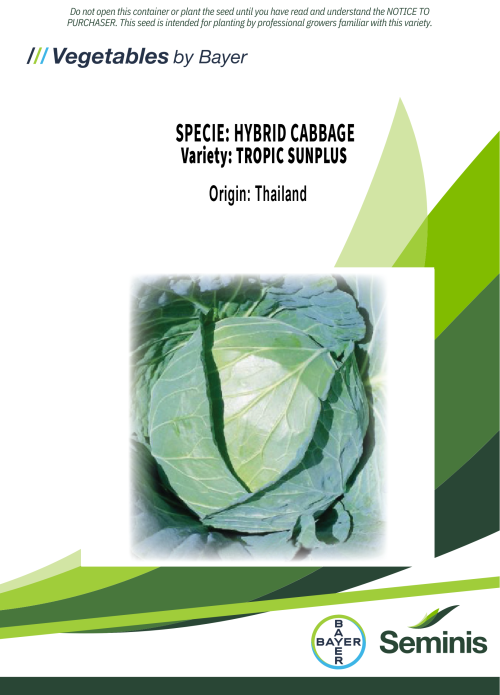 Bayer Seminis Hybrid White Cabbage Tropic Sun Plus - Green Eagle Seeds